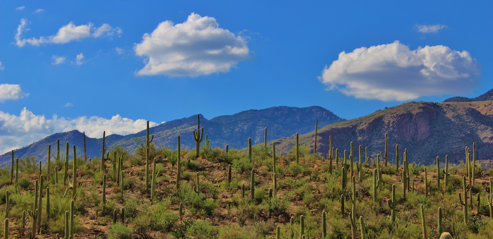 Tucson: A City of New and Old - Bucket List Adventures Guide